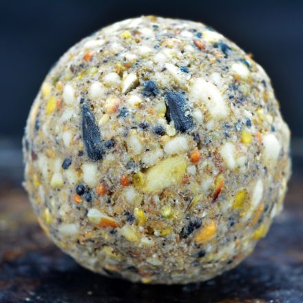 How to make Fat Balls for Birds - Garden Bird Feeder
