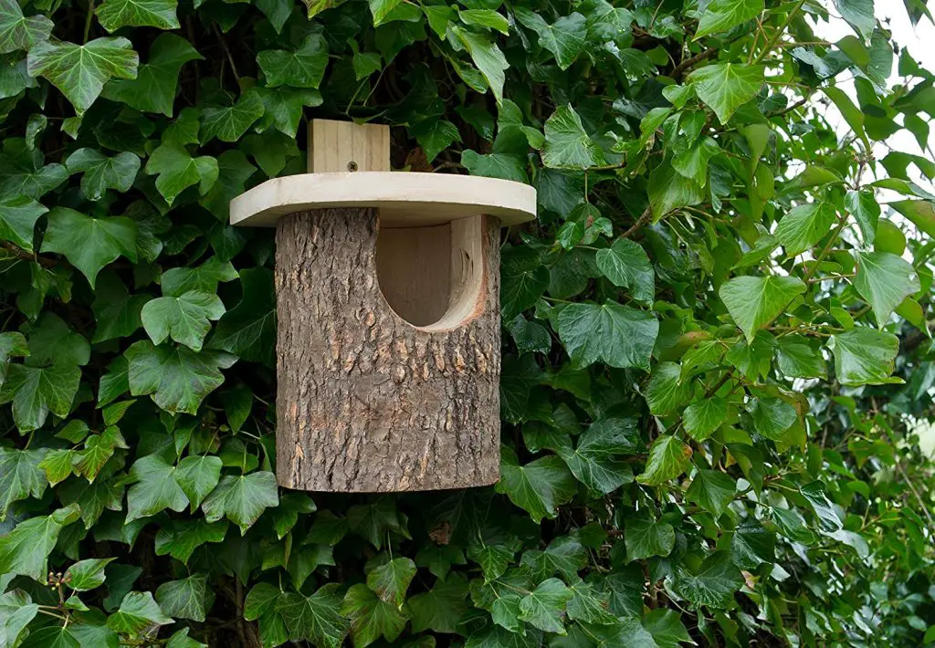 Best Nesting Box For Robins - Garden Bird Feeder