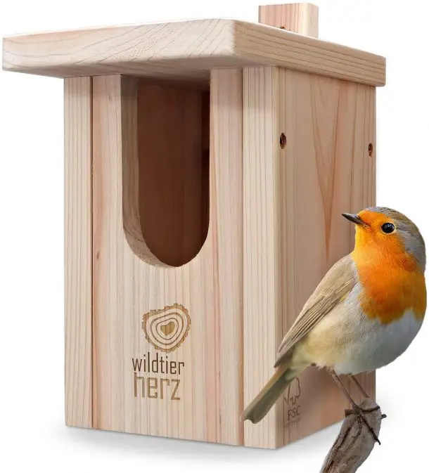 Best Nesting Box For Robins - Garden Bird Feeder