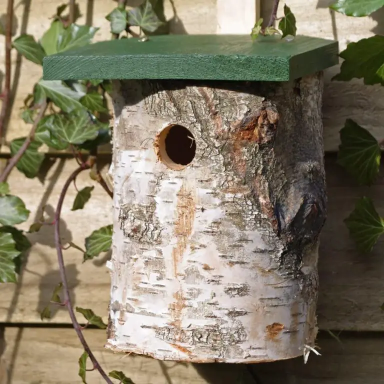 Best Nesting Box for Woodpeckers - Garden Bird Feeder